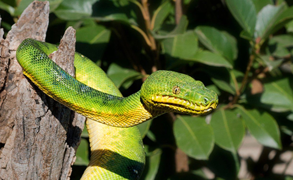 Getting Started - Out of Africa Wildlife Park & Sanctuary